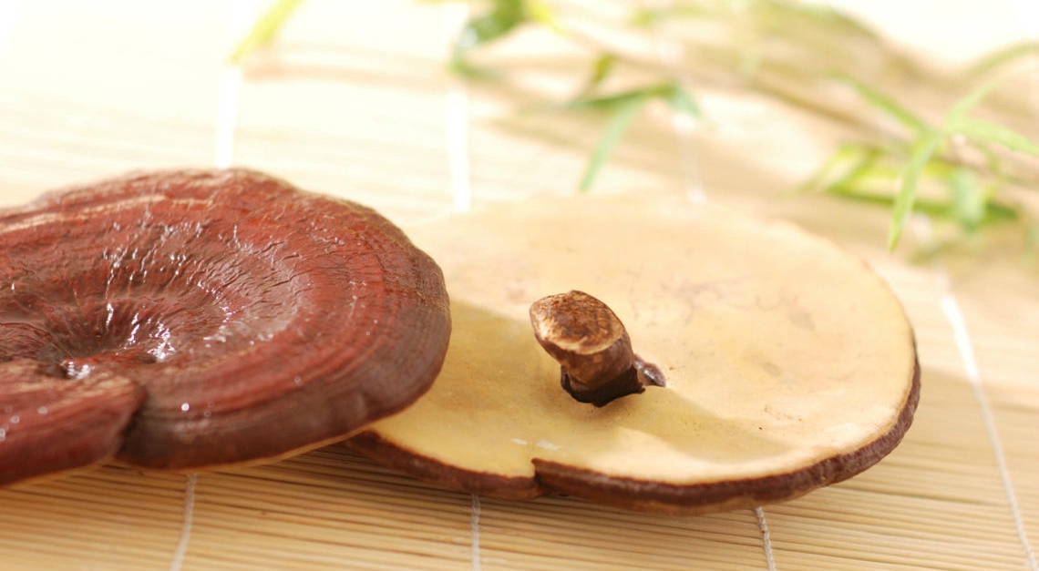 Ganoderma: The Secret Of The Spores - Organo blog EMEA