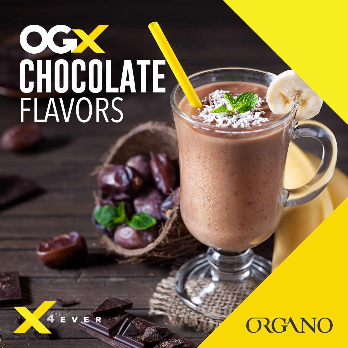 Art-030-chocolate-craving-insert-choc-shake-recipe - Organo Blog